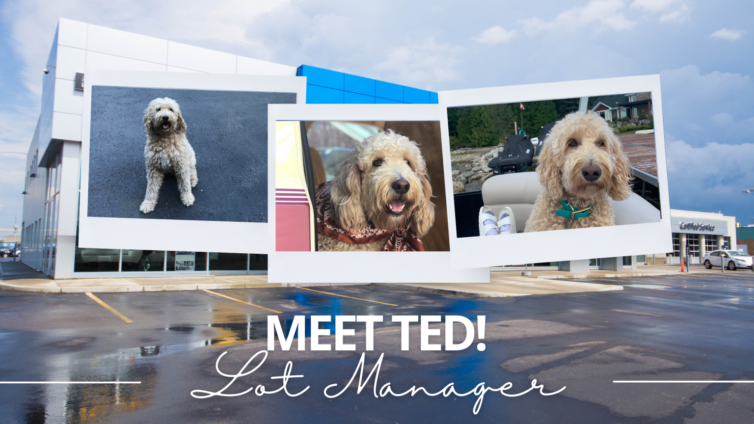 All About Ted - Bennett Chevrolet Buick GMC